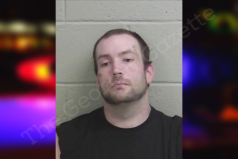 Blake Boyer — Wayne County Jail Bookings