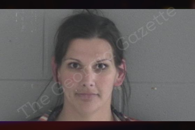 Crystal Brantley — Brantley County Jail Bookings