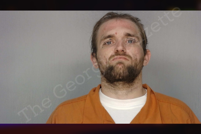 Brendon Brewer — Bibb County Jail Bookings
