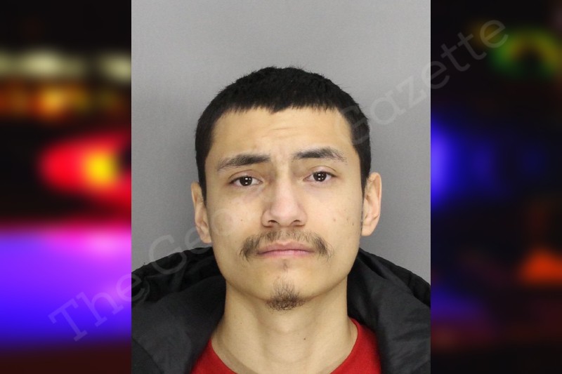 George Castillo — Cobb County Jail Bookings