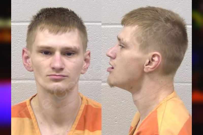 Brandon Cogan — Paulding County Jail Bookings