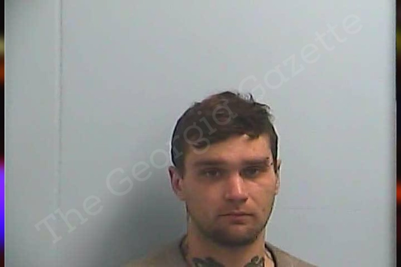 Tyler Collins — Dawson County Jail Bookings