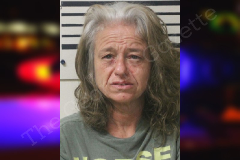 Cynthia Conner — Toombs County Jail Bookings