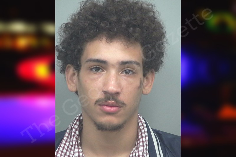 Dameon Deates — Gwinnett County Jail Bookings
