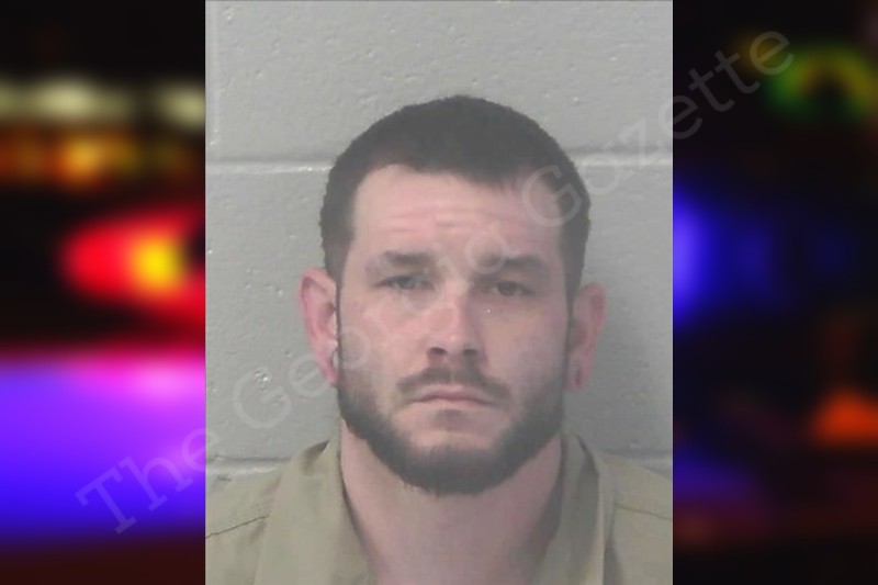 Dillon Downs — Newton County Jail Bookings