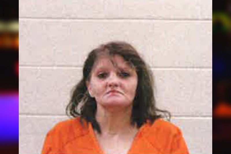 Jessica Dodd — Pickens County Jail Bookings