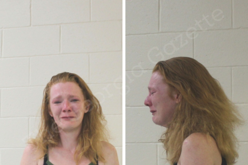 Samantha Duthill — Houston County Jail Bookings