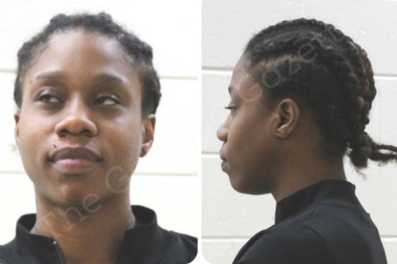 Tiffani Edwards Lewis — Houston County Jail Bookings