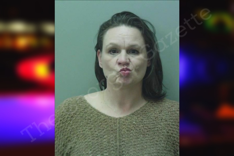 Michelle Edwards — Towns County Jail Bookings