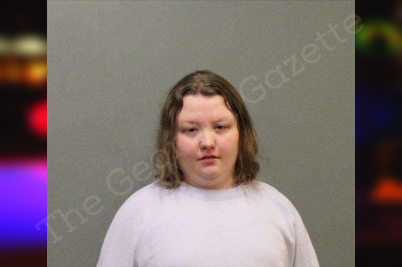Emily Ellington — White County Jail Bookings