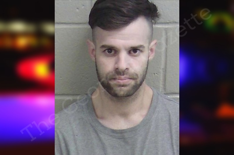 Ryan English — Wayne County Jail Bookings