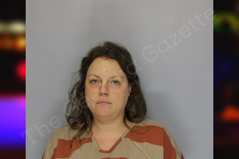 Jessica Fain — Hall County Jail Bookings