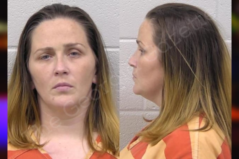 Raina Fink — Paulding County Jail Bookings