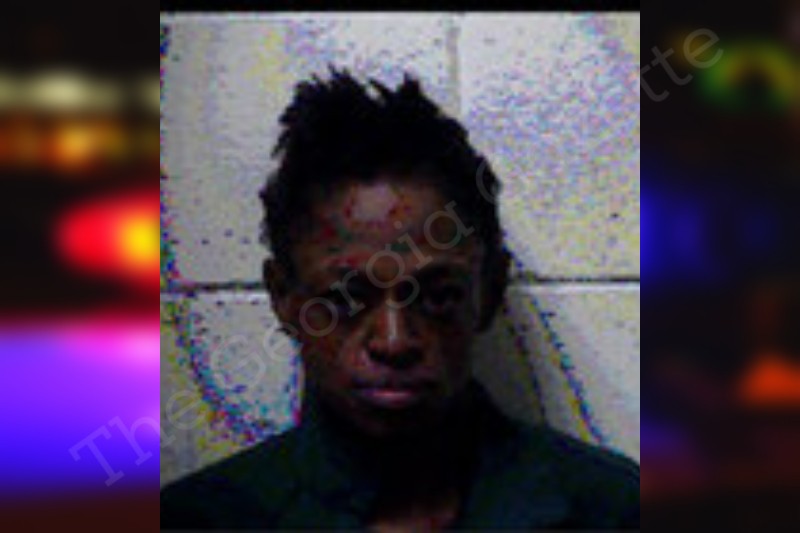 Faith Floyd — Henry County Jail Bookings