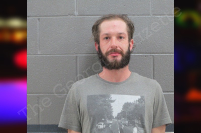 Allen Lineberry — Banks County Jail Bookings