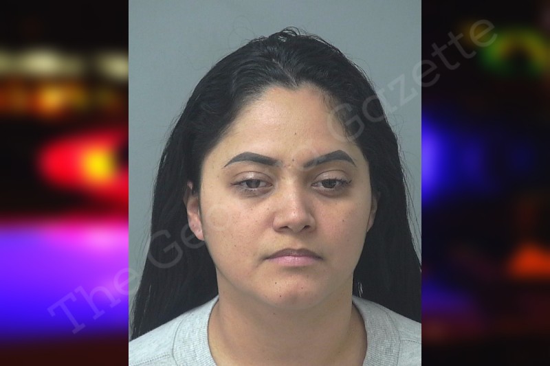 Katherine Gonzalez Ramirez — Gwinnett County Jail Bookings