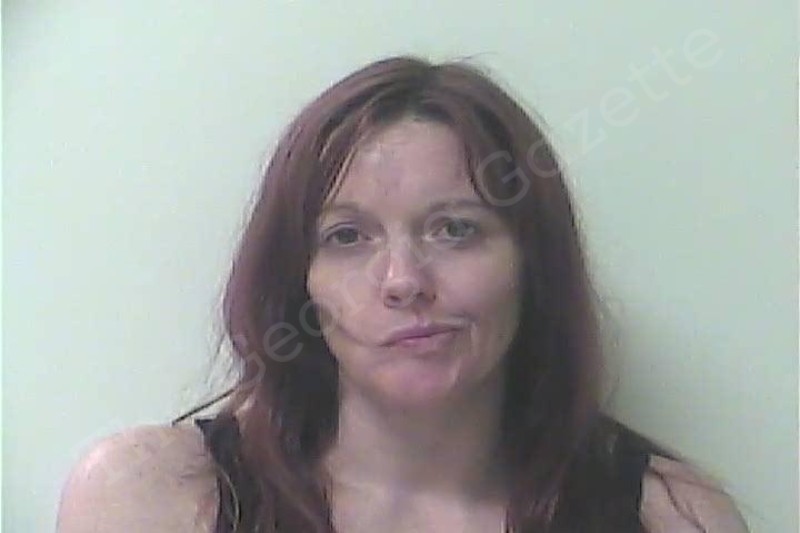 Jessica Garrett — Oconee County Jail Bookings