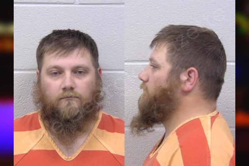Chandler Goode — Paulding County Jail Bookings