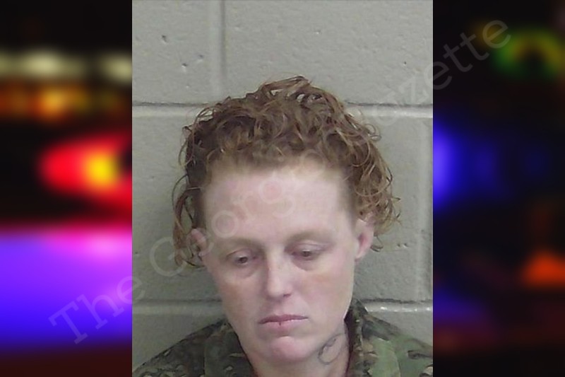 Jessica Grantham-Leja — Wayne County Jail Bookings