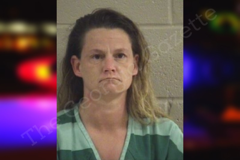 Holly Gray — Whitfield County Jail Bookings