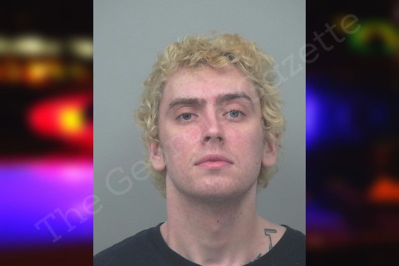 Levi Hanson — Gwinnett County Jail Bookings