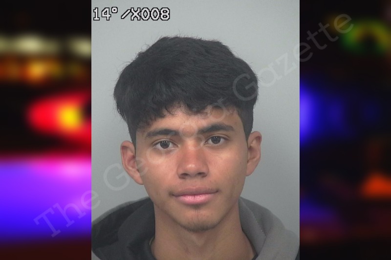 Moises Hernandez Sanchez — Gwinnett County Jail Bookings