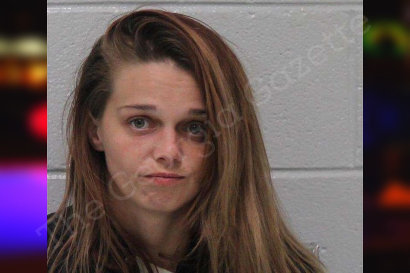 Ashley Hodges — Carroll County Jail Bookings