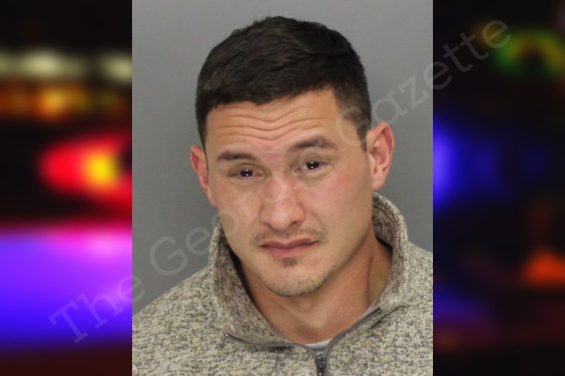 Brandon Horn — Cobb County Jail Bookings