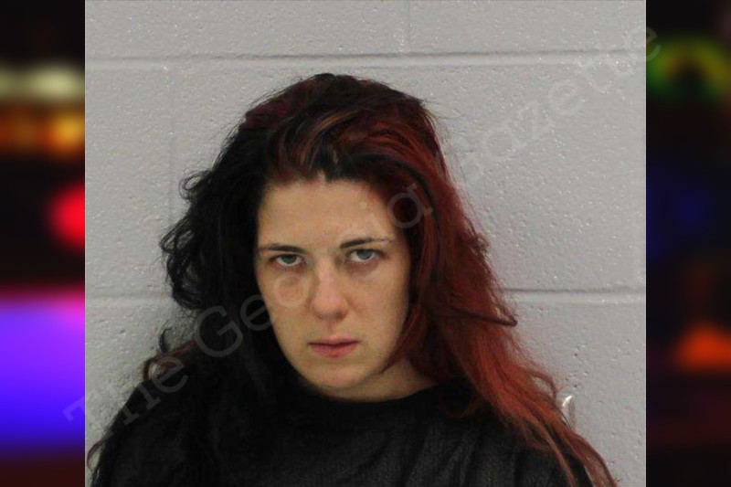 Hayley Howard — Carroll County Jail Bookings