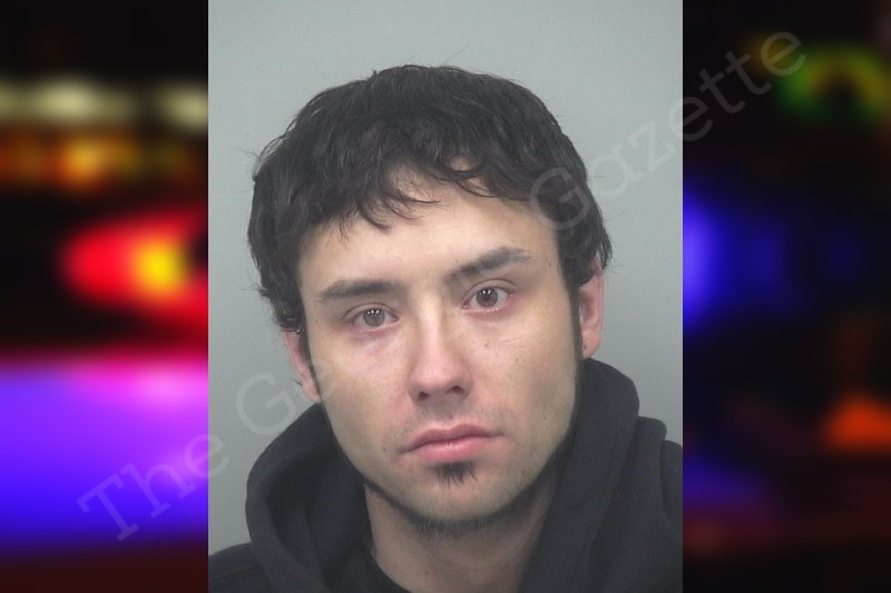 William Hubbard — Gwinnett County Jail Bookings