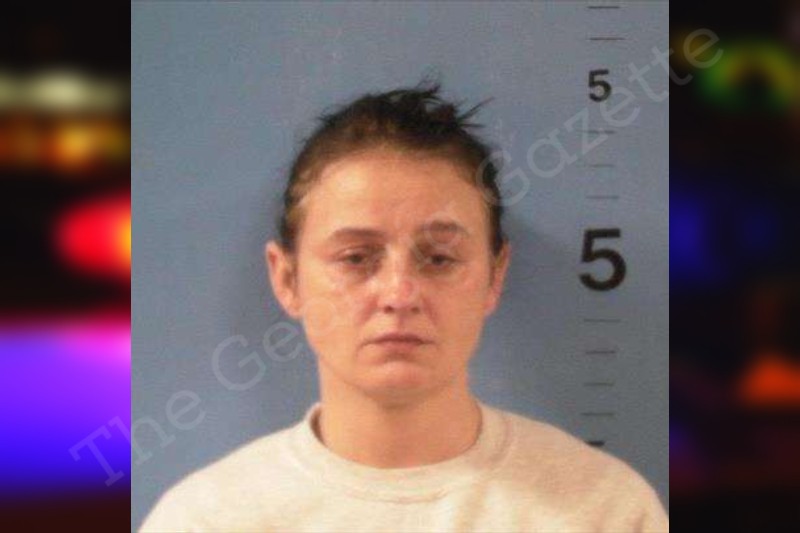Alicia Huff — Monroe County Jail Bookings