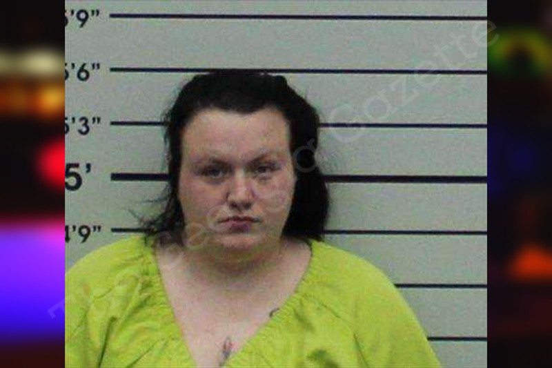 Alexis Hannah — Turner County Jail Bookings
