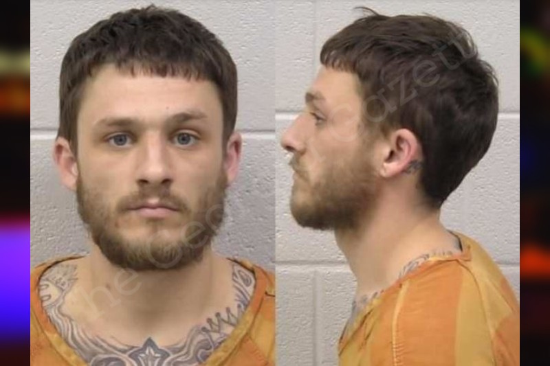 Zachary Harrell — Paulding County Jail Bookings