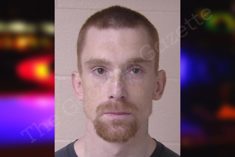 Christopher Harris — Walker County Jail Bookings