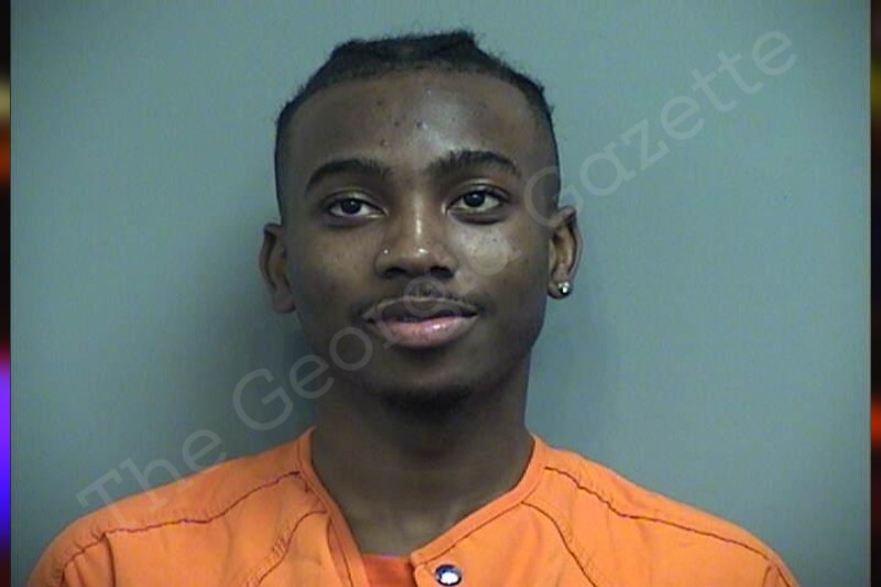 Travis Haynes — Effingham County Jail Bookings