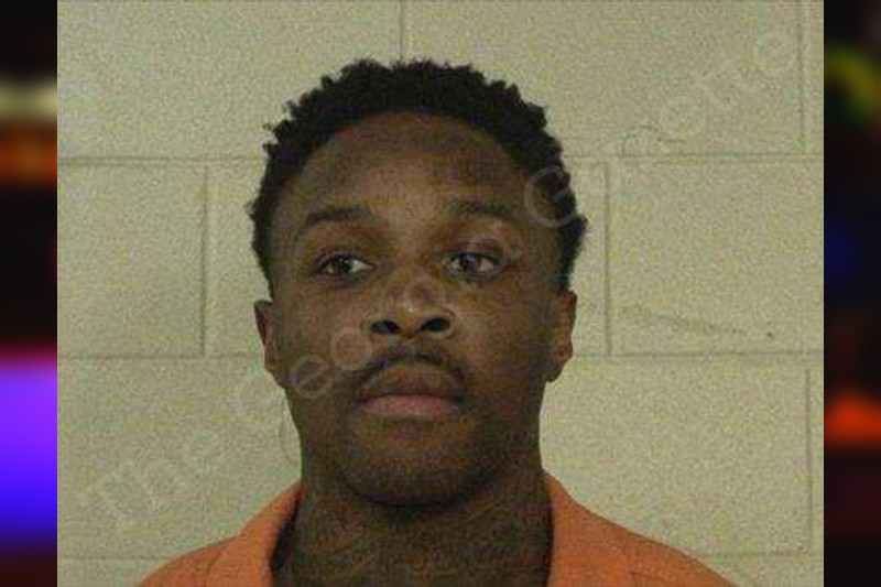 Jonathan Heyward — Liberty County Jail Bookings