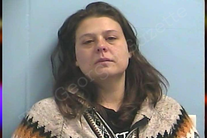 Amanda Hobson — Dawson County Jail Bookings