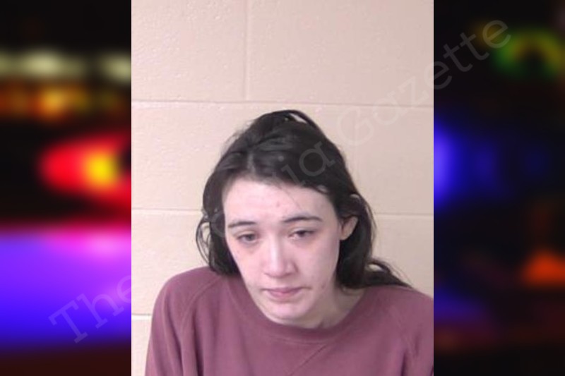 Kaitlyn Hunt — Walker County Jail Bookings