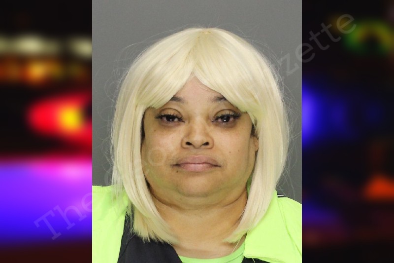 Chanee Johnson — Cobb County Jail Bookings