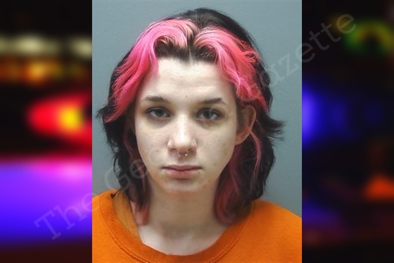 Georgia Justice — Cherokee County Jail Bookings