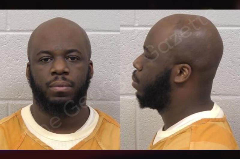 Remy Johnson — Paulding County Jail Bookings