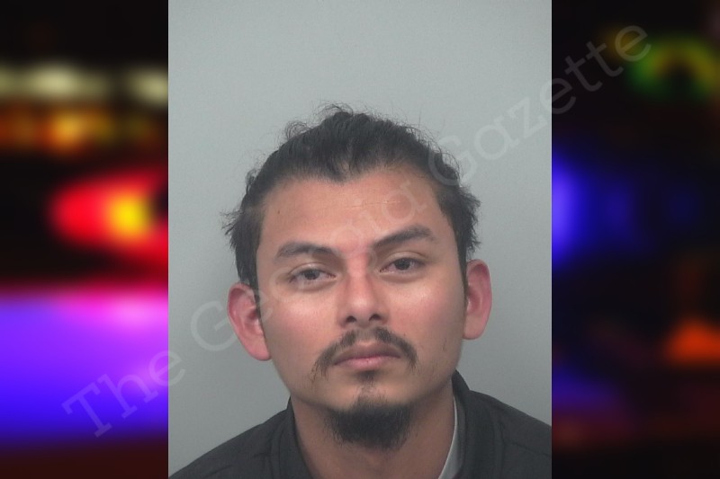 Selviz Lopez-Ramirez | Gwinnett County