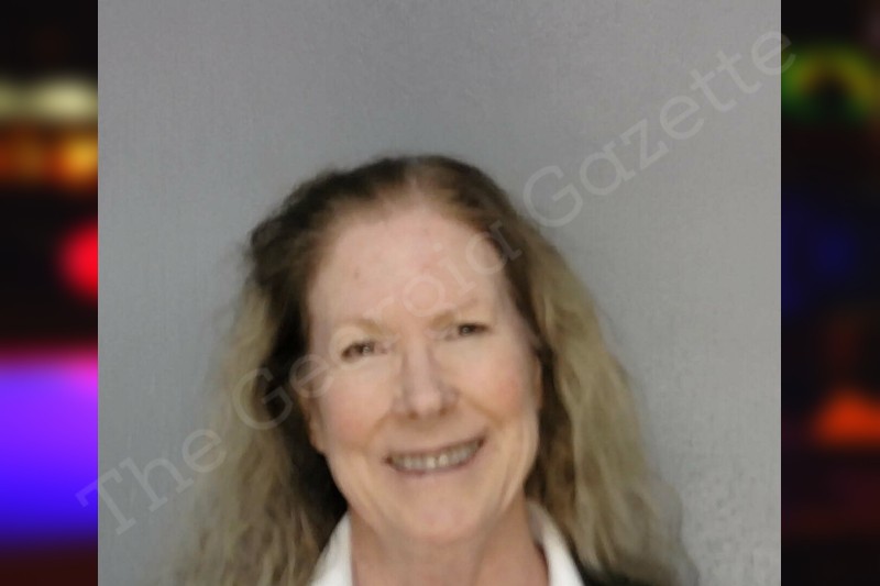 Laura Mitchell — Bibb County Jail Bookings