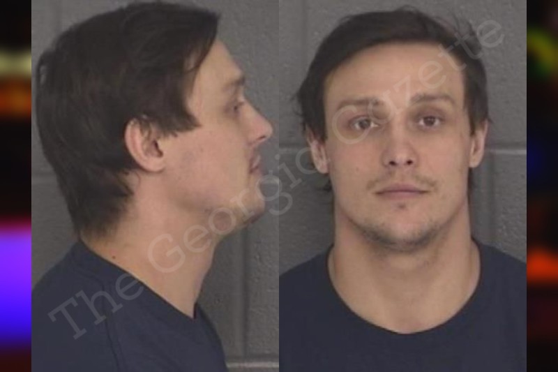 Shane Ledford — Barrow County Jail Bookings