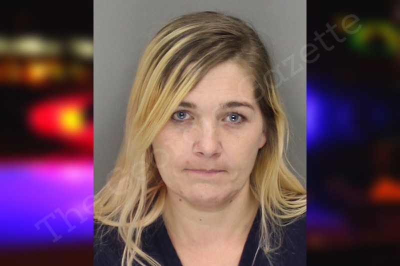 Jennifer Meeks — Cobb County Jail Bookings