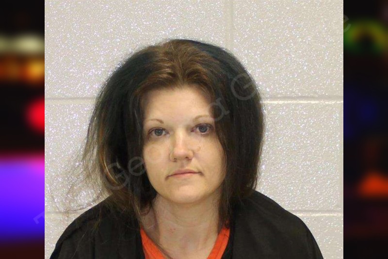 Misty Mitchell — Carroll County Jail Bookings
