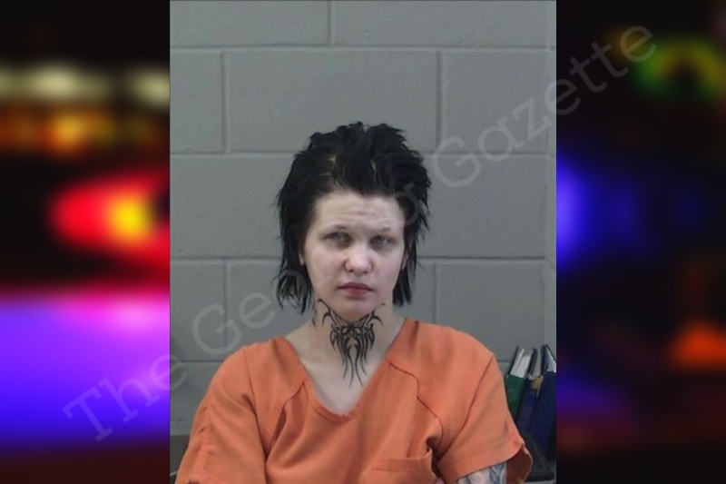 Taylor McDaniel — Madison County Jail Bookings
