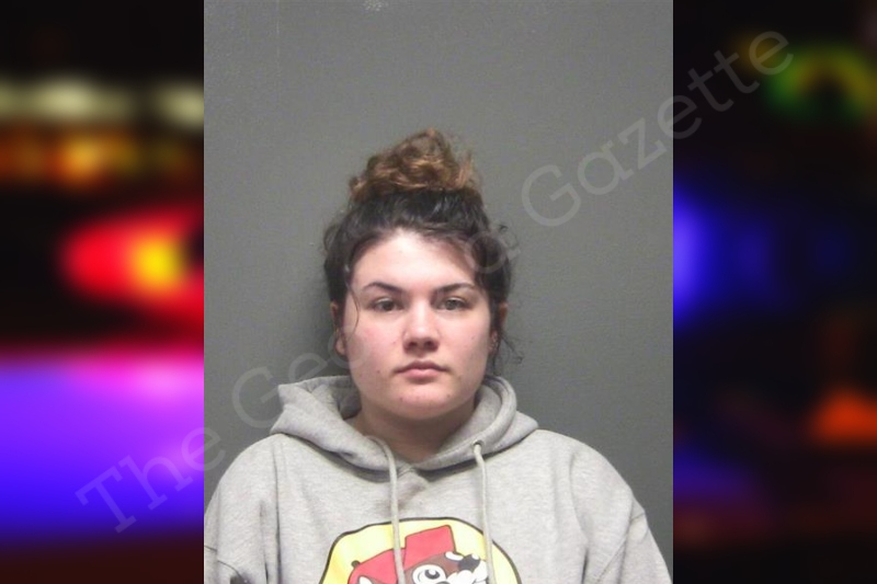 Elizabeth McGee — Cherokee County Jail Bookings