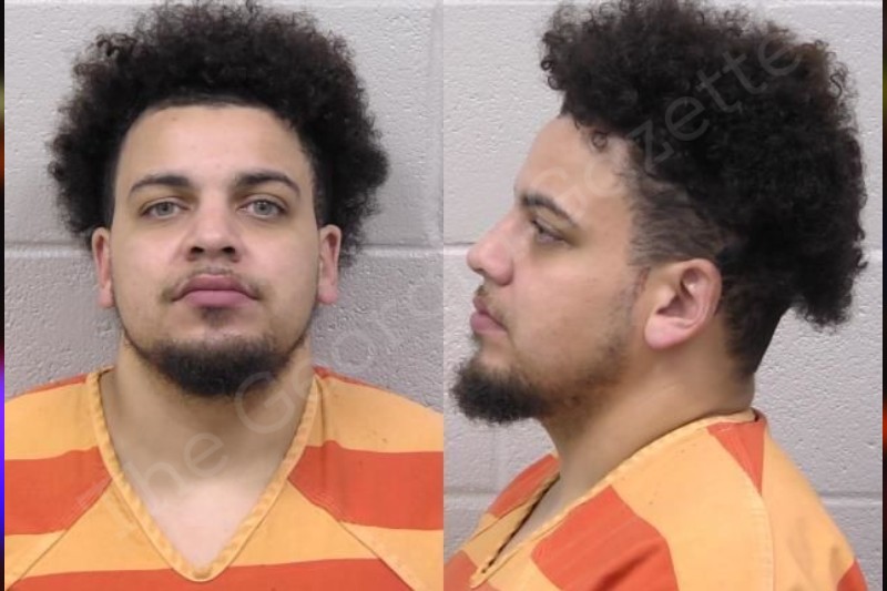 Matthew McLaughlin — Paulding County Jail Bookings