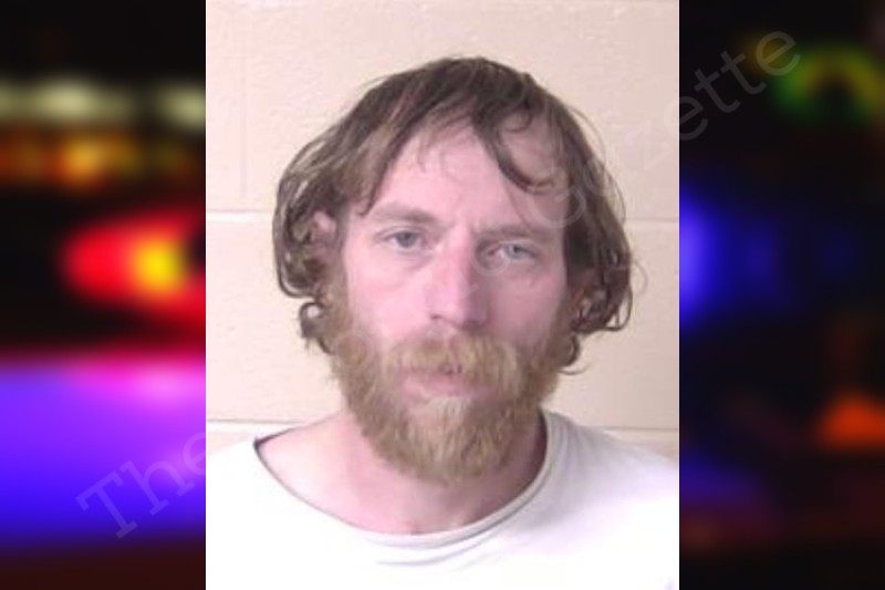 Devin Meetze — Walker County Jail Bookings